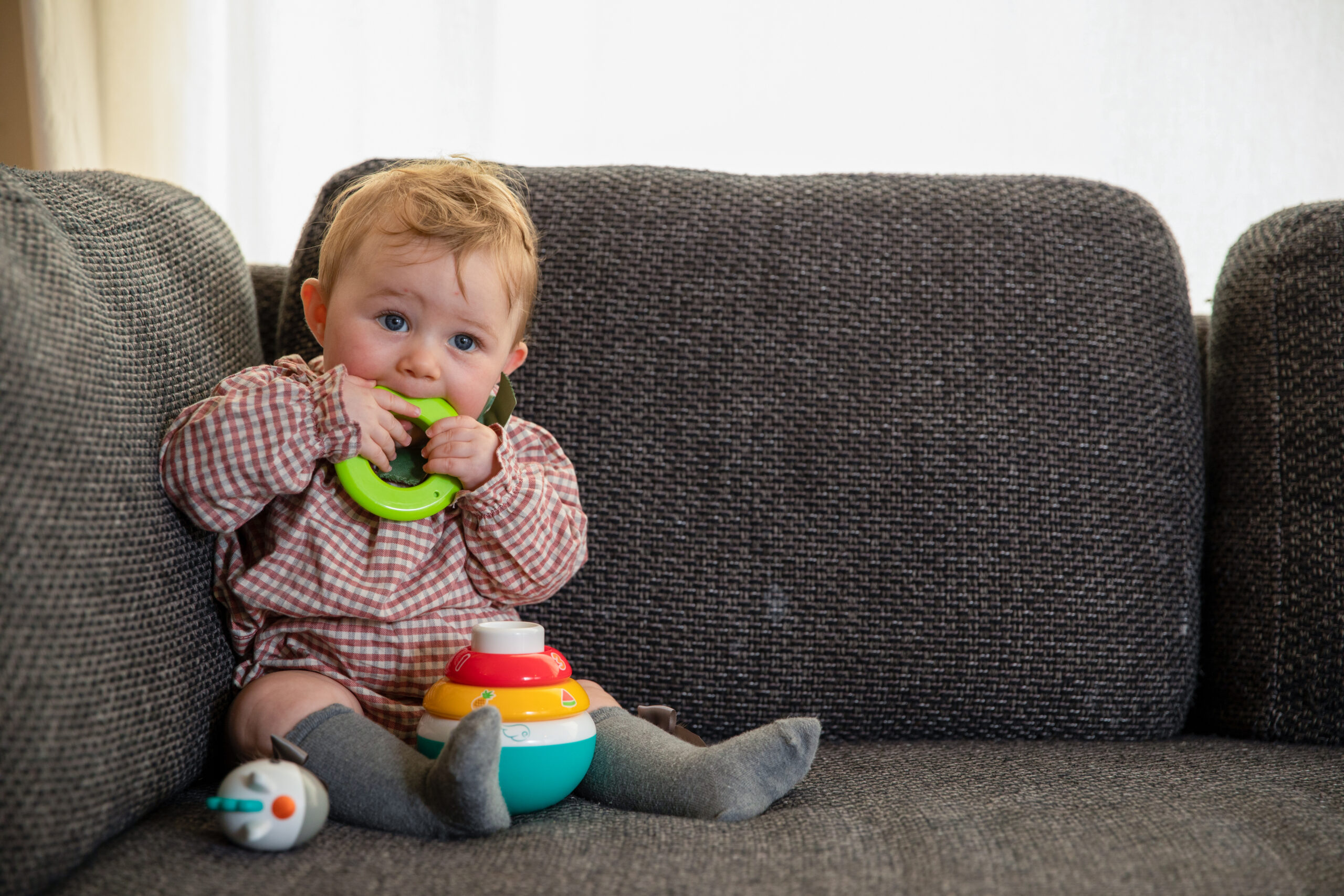 B-Roly Poly Unicorn - Bo Jungle